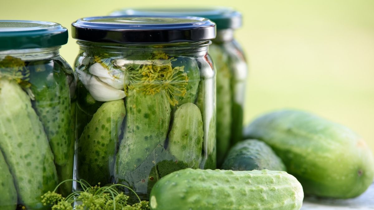 Pickling Cukes - Back Home-on the Farm