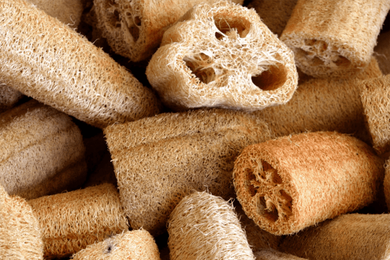 Grown Your Own Luffa - Back Home-on the Farm