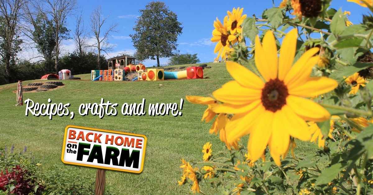 Farm Blog - Back Home-on the Farm