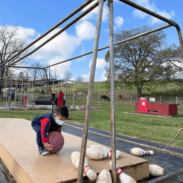 Attractions - Back Home-on the Farm